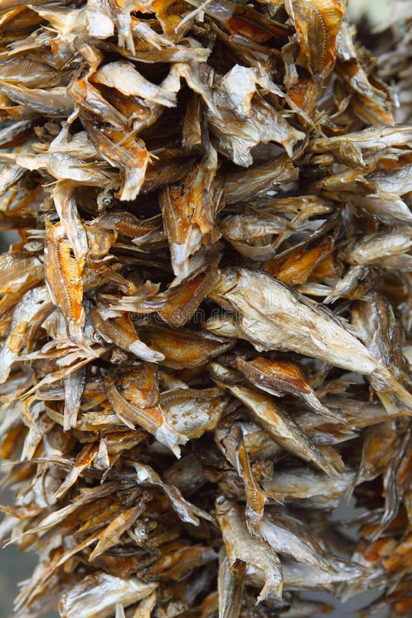 Salty Fish stock photo. Image of kong, fishes, basket - 20024880