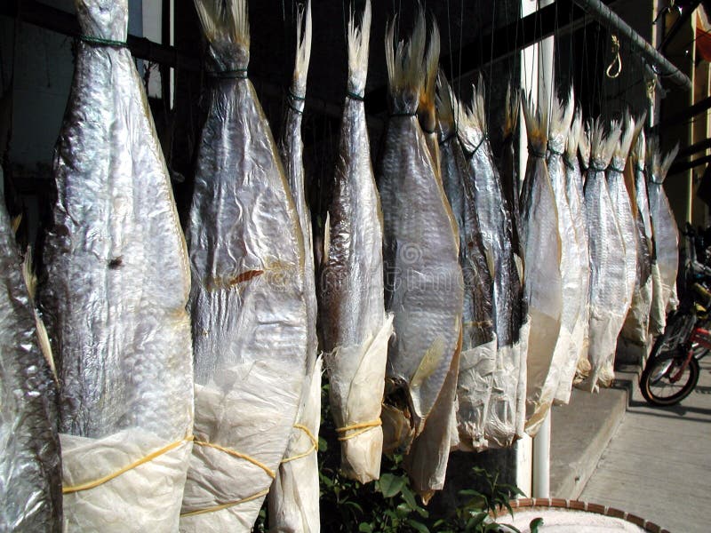 Salty fish stock image. Image of fishes, dead, hang, fish - 380555