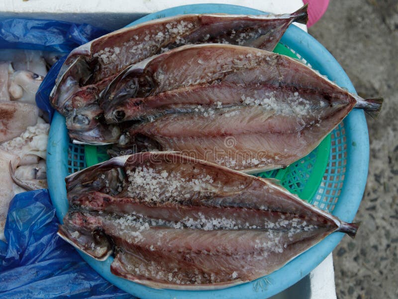 Salty fish stock image. Image of gourmet, saltwater, snack - 78499831