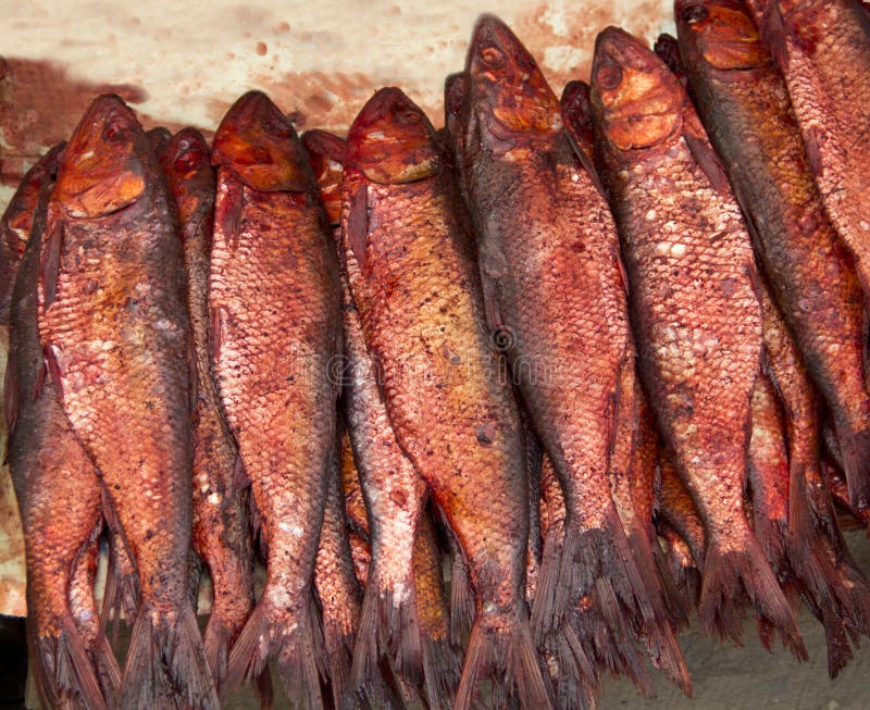 Salty fish stock photo. Image of boned, market, cooking - 28124550