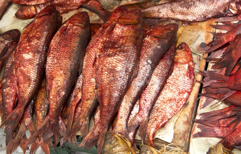 Salty fish stock photo. Image of food, healthy, chinese - 31607936