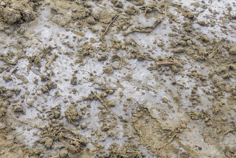 Salty soil stock image. Image of closeup, dusty, surface - 143723049