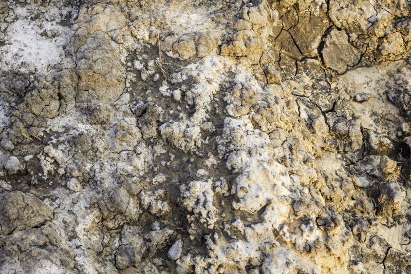 Salty soil stock image. Image of dusty, land, salted - 145413711