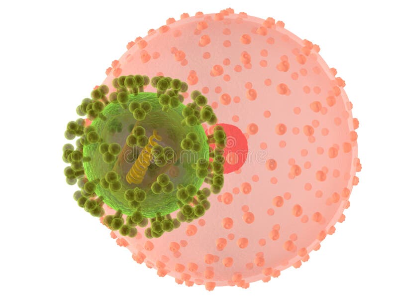 Salut Cellule Infectée Par Virus Illustration Stock - Illustration du ...