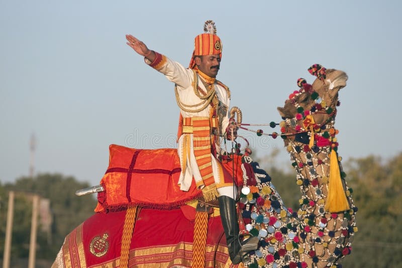 Salute editorial stock photo. Image of border, animal - 20144813