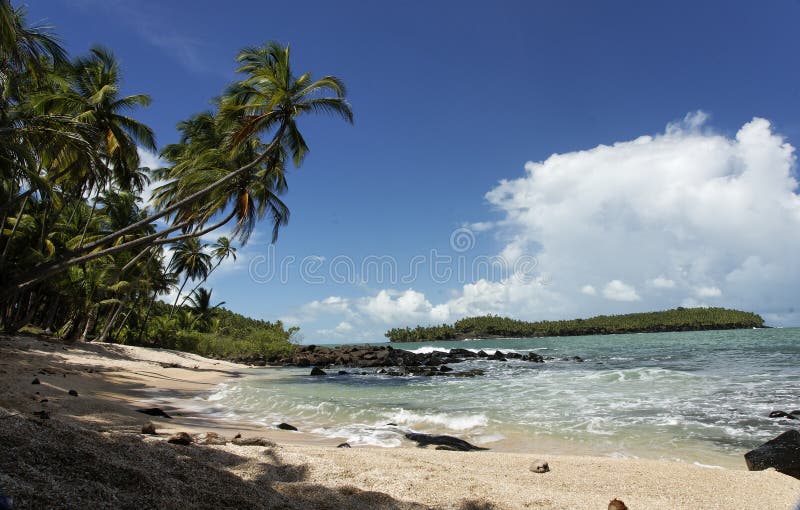 French Guiana Beaches Devil's Island, French Guiana (2019) | BADER