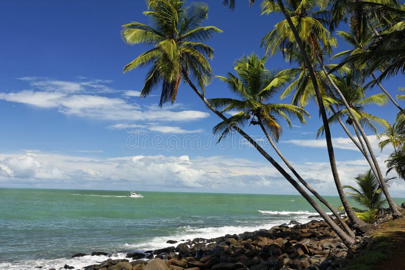 French Guiana Beaches Devil's Island, French Guiana (2019) | BADER
