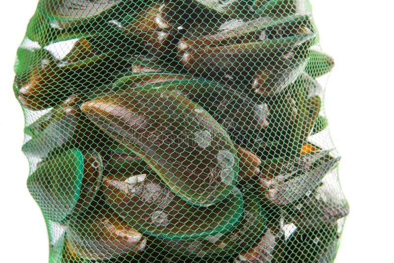 Mussel Foot Stock Photos - Free & Royalty-Free Stock Photos from Dreamstime