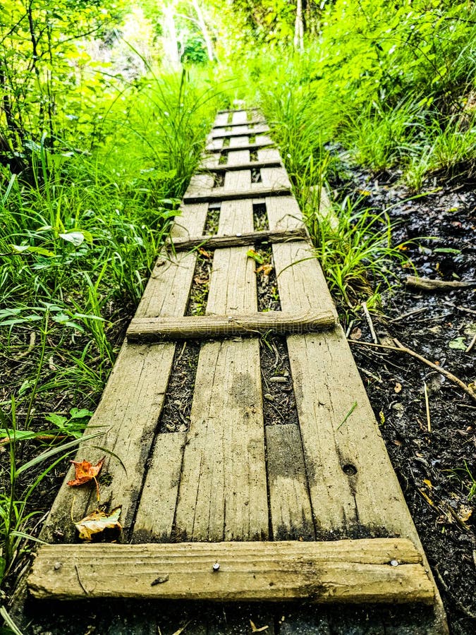 Sam& X27;s Knobb Loop Trail 3 Stock Photo - Image of biking, path ...