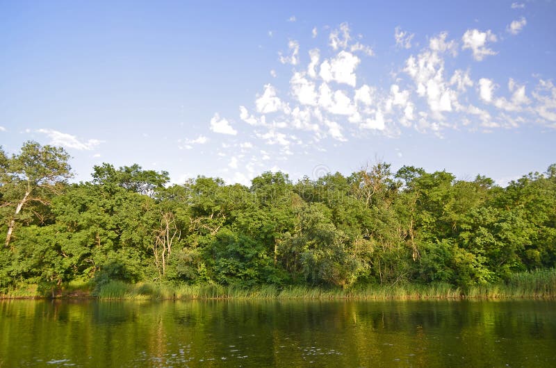 Beautiful Landscape of the Forest River, Samara Ukraine. Stock Photo ...
