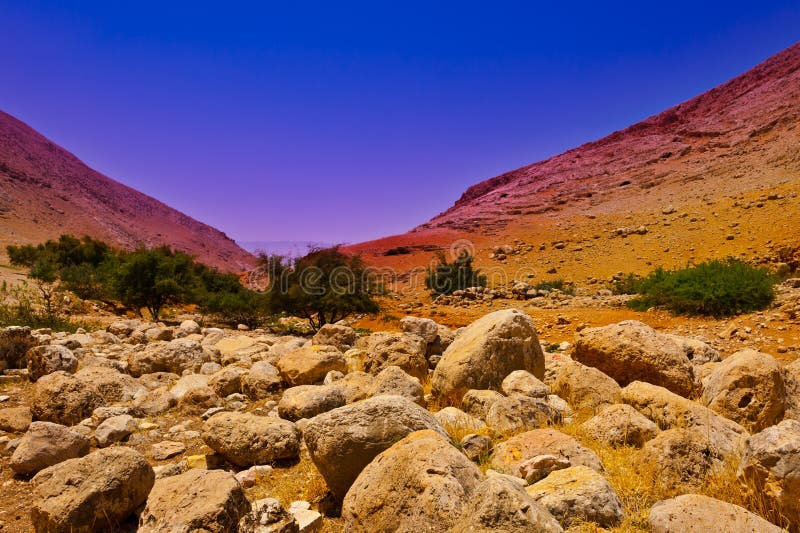 Dark Dry Palestine Stock Photos - Free & Royalty-Free Stock Photos from ...