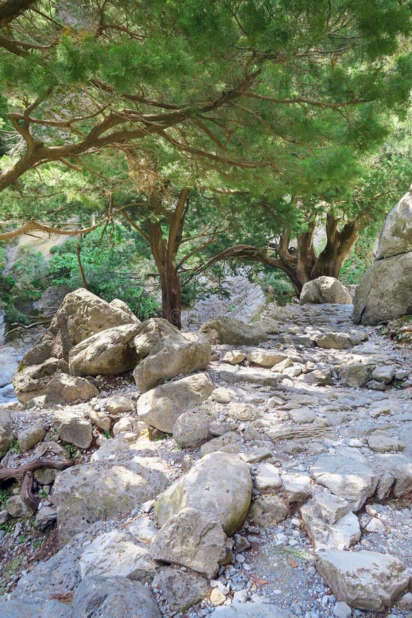 Samaria Gorge at Crete Greece Hiking Path Stock Photo - Image of ...