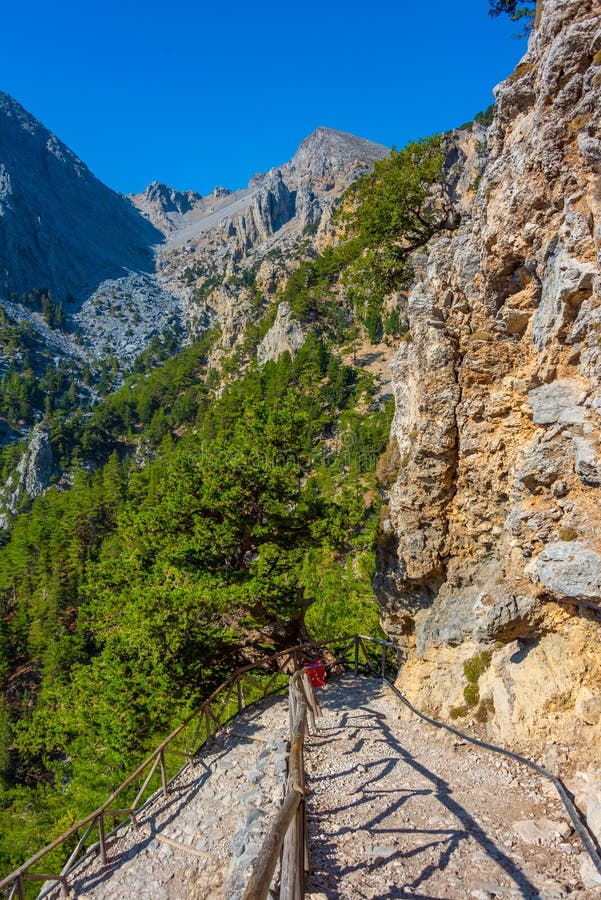 Samaria Gorge at Greek Island Crete Stock Image - Image of wildlife ...