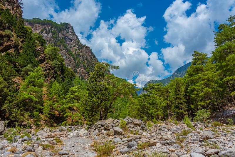Samaria Gorge at Greek Island Crete Stock Image - Image of pine ...