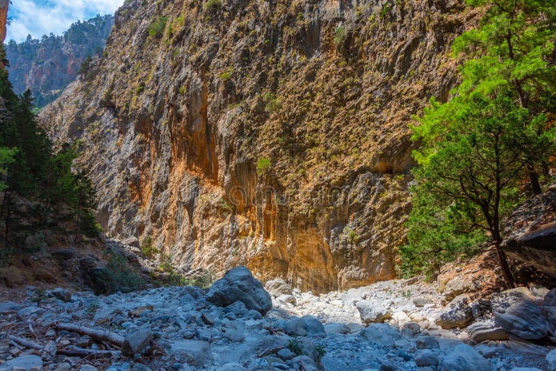 Samaria Gorge at Greek Island Crete Stock Photo - Image of pine ...