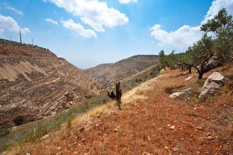 Samaria, Israel stock photo. Image of ecology, country - 21285090