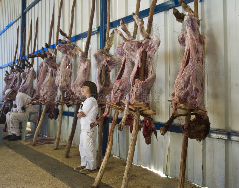 Samaritan Passover Sacrifice Editorial Stock Image - Image of ...