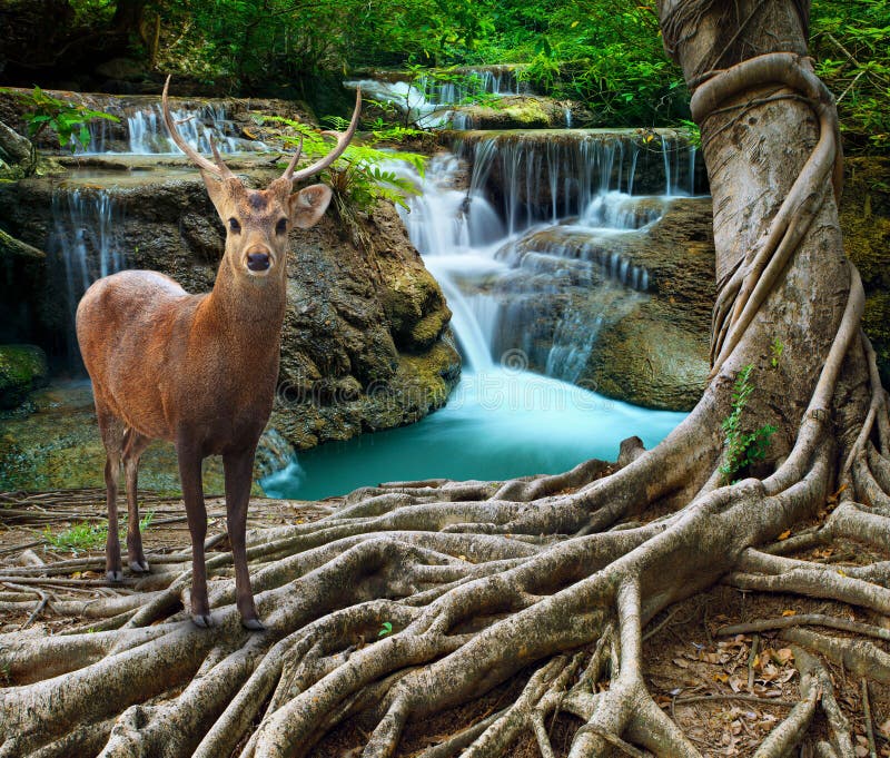 Waterfall Health Of Brown Deer | HEALTH CENTER