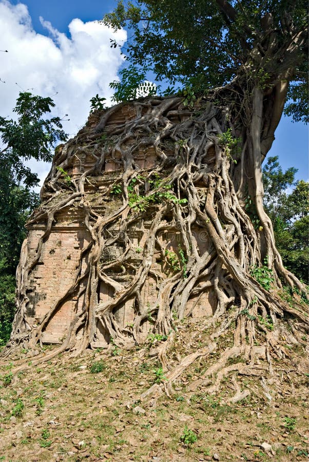 Sambor stock image. Image of orient, asian, angkor, park - 4474527