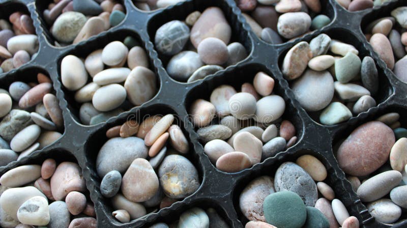 Identical Square Compartments of Plastic Box with Colored Sea Stones ...