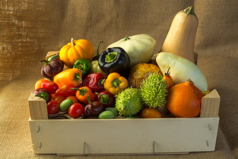 Samenstelling Van Verschillende Groenten Stock Afbeelding - Image of ...