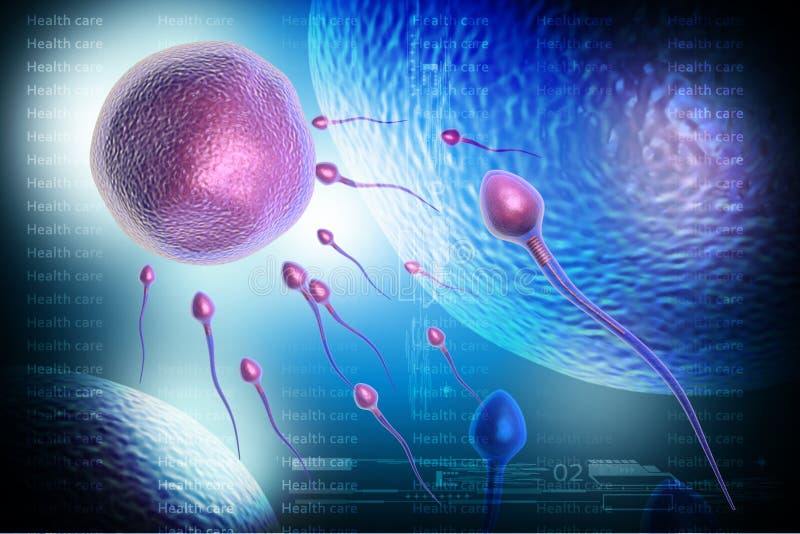 Samenzellen- und Eizelle stock abbildung. Illustration von leben - 36195394