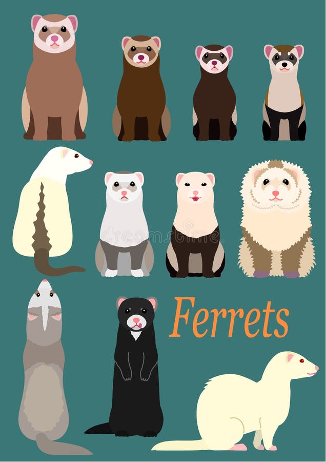 Samling av vesslor vektor illustrationer. Illustration av bläs - 136683769