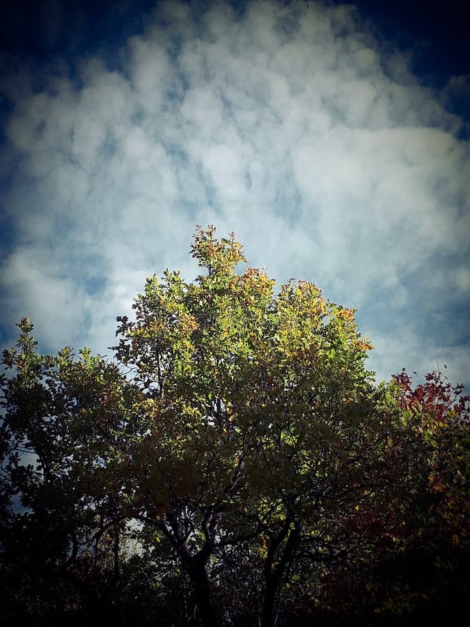 Sammer stock photo. Image of temp, name, toxa, sammer - 111431950