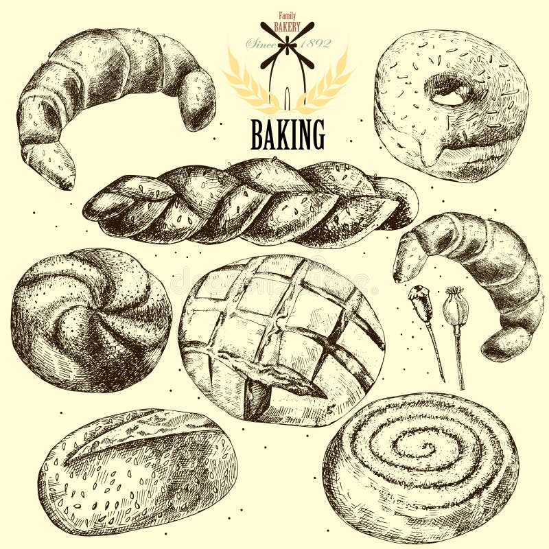 Sammlung Brot Hand Gezeichnet Vektor Abbildung - Illustration von ...