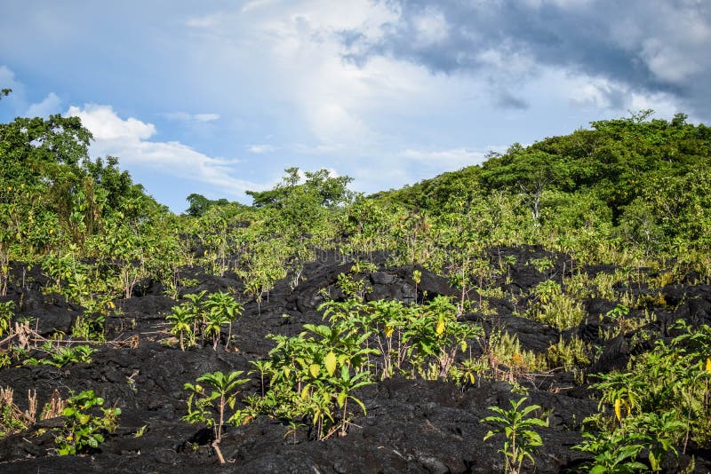 Samoa - Islands on South Pacific Stock Image - Image of ocean ...