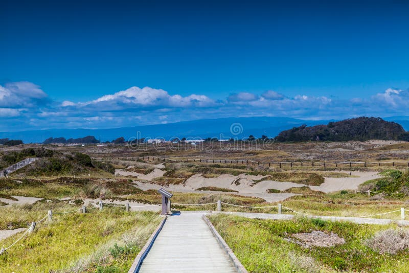 Samoa Dunes in Eureka California Stock Image - Image of scenery, beach ...