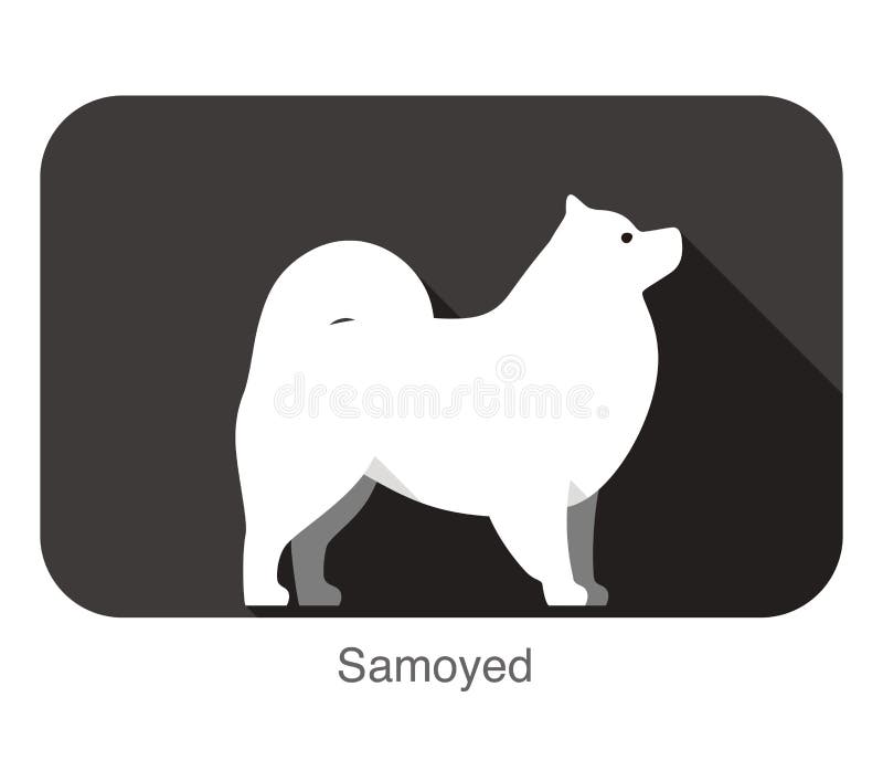 Samoyed Dog Breed Flat Icon Design, Vector Illustration Stock Vector ...