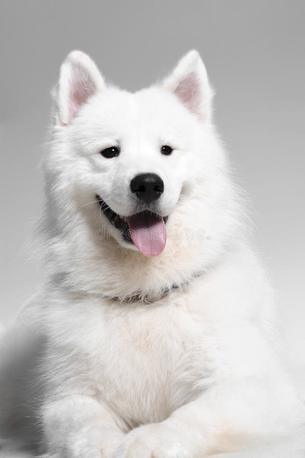 Nicho - Photographer profile