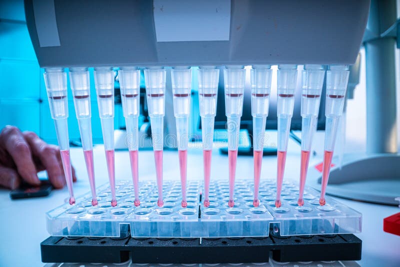 Sample of Biological Sample for DNA Analysis Stock Image - Image of ...