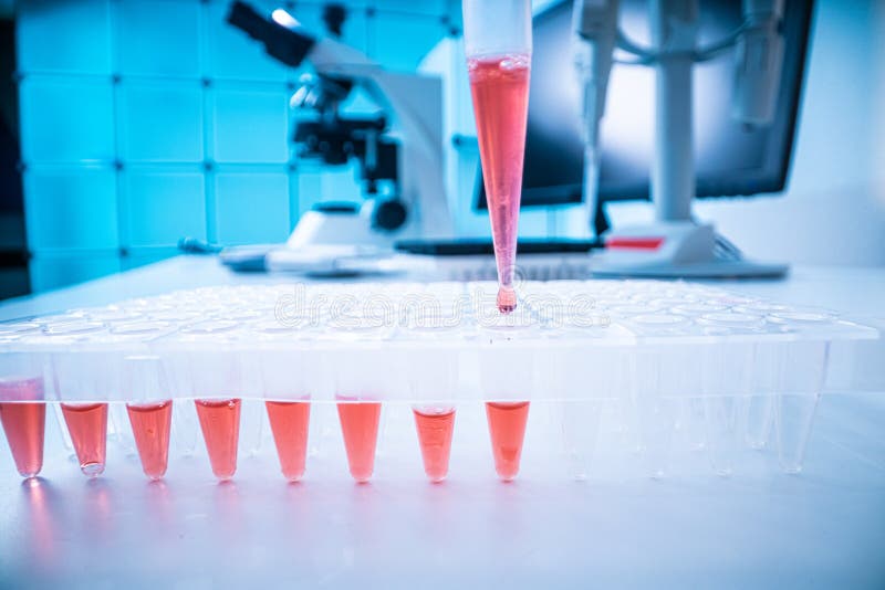 Sample of Biological Sample for DNA Analysis Stock Photo - Image of ...