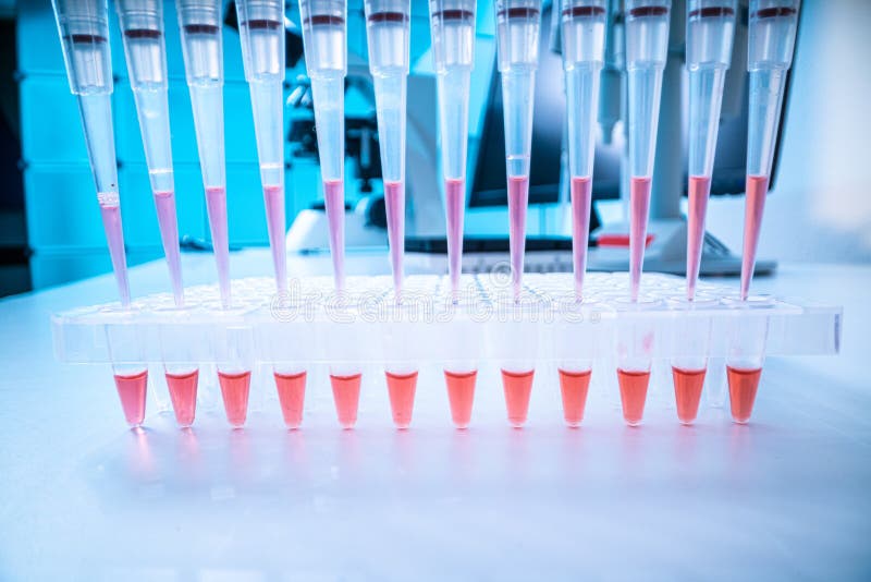 Sample of Biological Sample for DNA Analysis Stock Photo - Image of ...