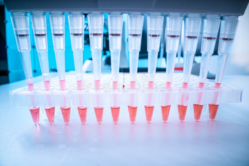 Analysis of DNA stock image. Image of container, dish - 26521733