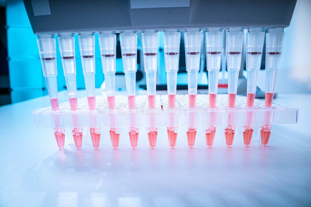 Sample of Biological Sample for DNA Analysis Stock Image - Image of ...