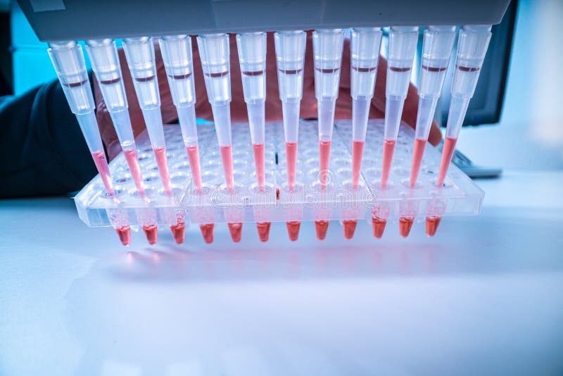 Sample of Biological Sample for DNA Analysis Stock Image - Image of ...