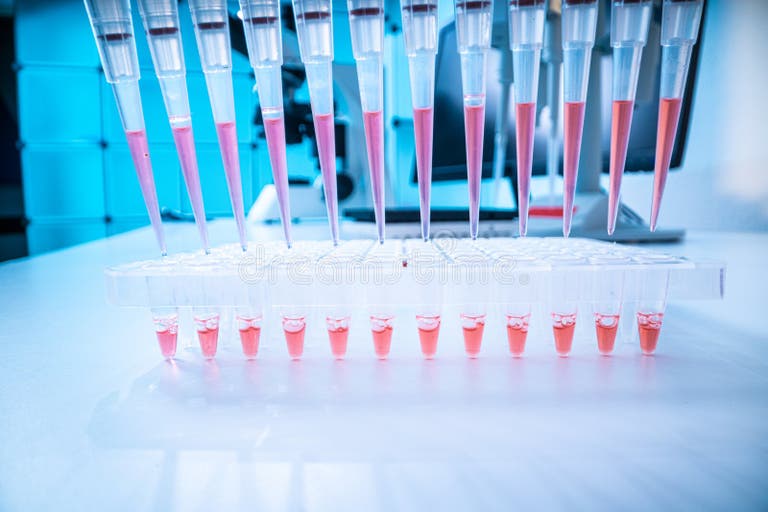 Sample of Biological Sample for DNA Analysis Stock Image - Image of ...