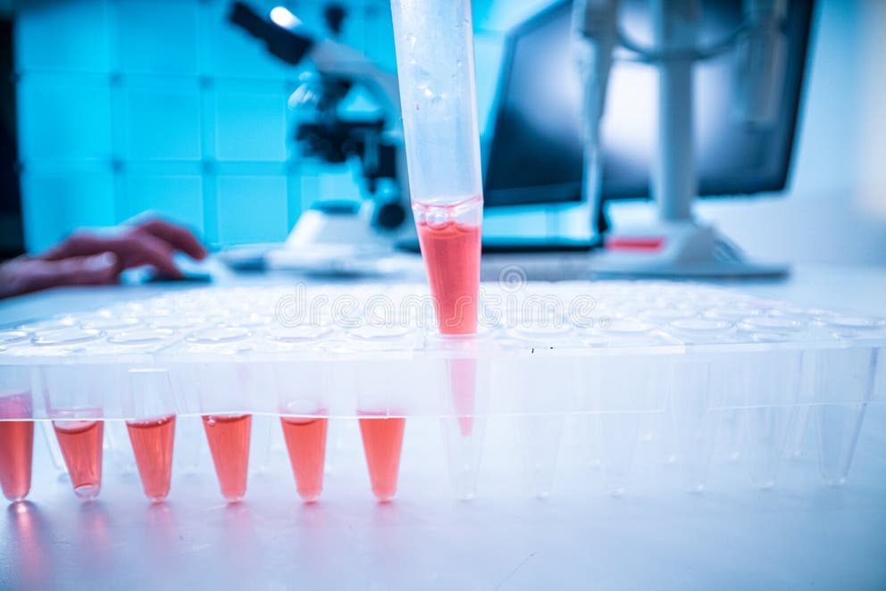 Sample of Biological Sample for DNA Analysis Stock Image - Image of ...