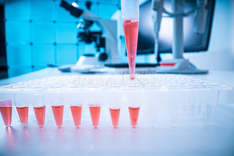 Sample of Biological Sample for DNA Analysis Stock Image - Image of ...