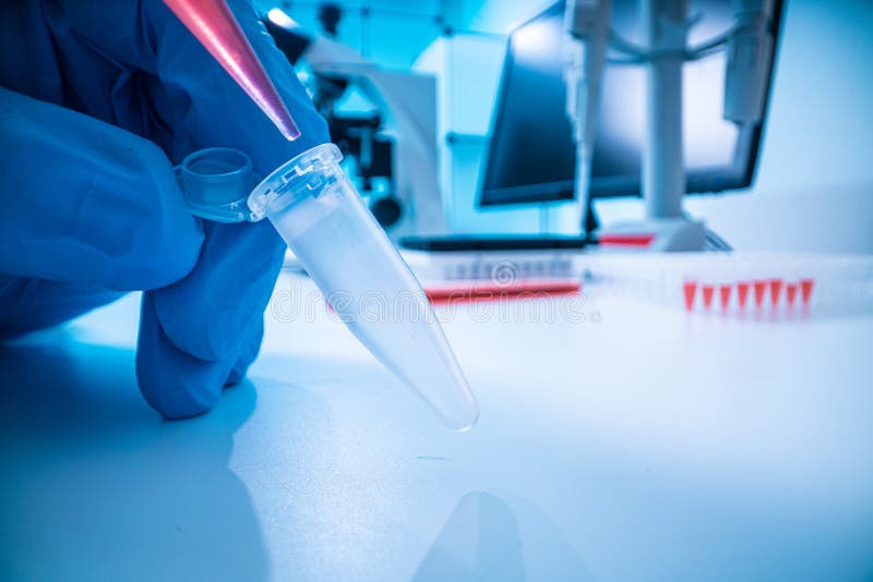 Sample of Biological Sample for DNA Analysis Stock Image - Image of ...