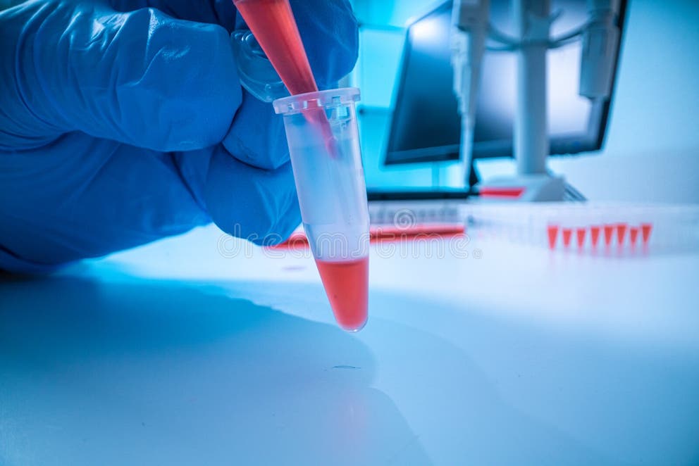 Sample of Biological Sample for DNA Analysis Stock Image - Image of ...