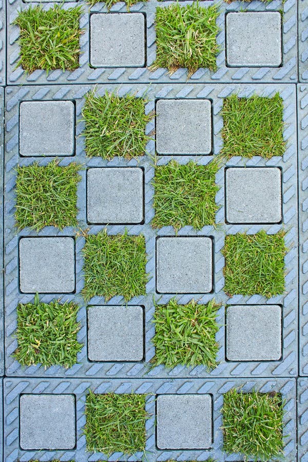 Sample of Brick Pavement with Grass. Stock Photo - Image of pattern ...