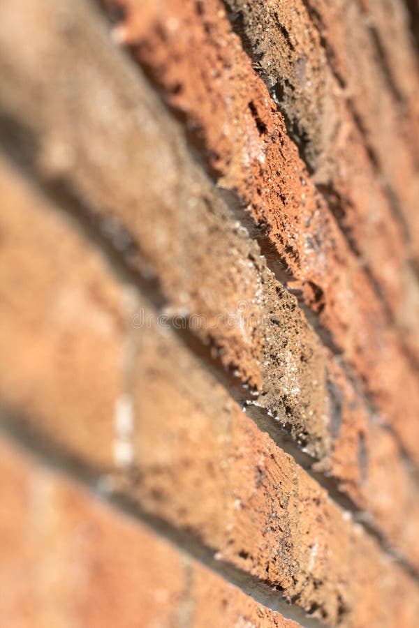 The Sample of Brick Wall Texture Background Stock Photo - Image of ...