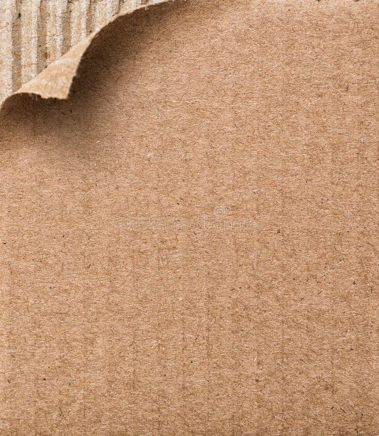 Sample cardboard stock image. Image of board, grunge - 96270217