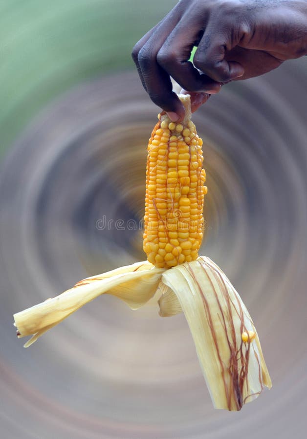 SESSION SAMPLE FOOD stock image. Image of small, sample - 75304345