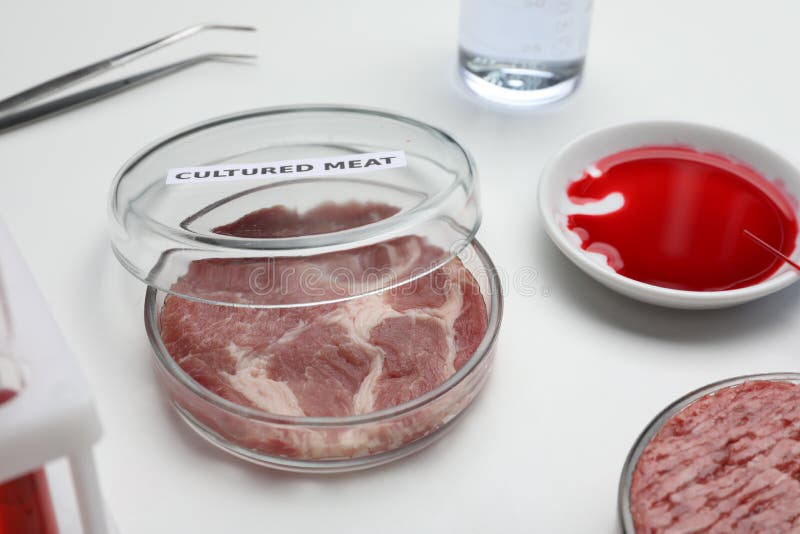 Sample of Cultured Meat on White Lab Table Stock Image - Image of ...
