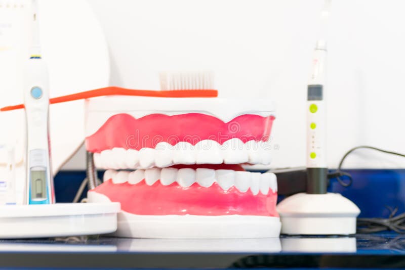 Sample Denture in Dentist Clinic Stock Photo - Image of oral, medicine ...